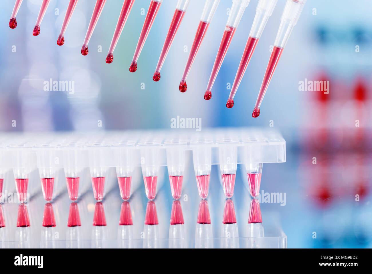 Multichannel pipette sample hi-res stock photography and images - Alamy