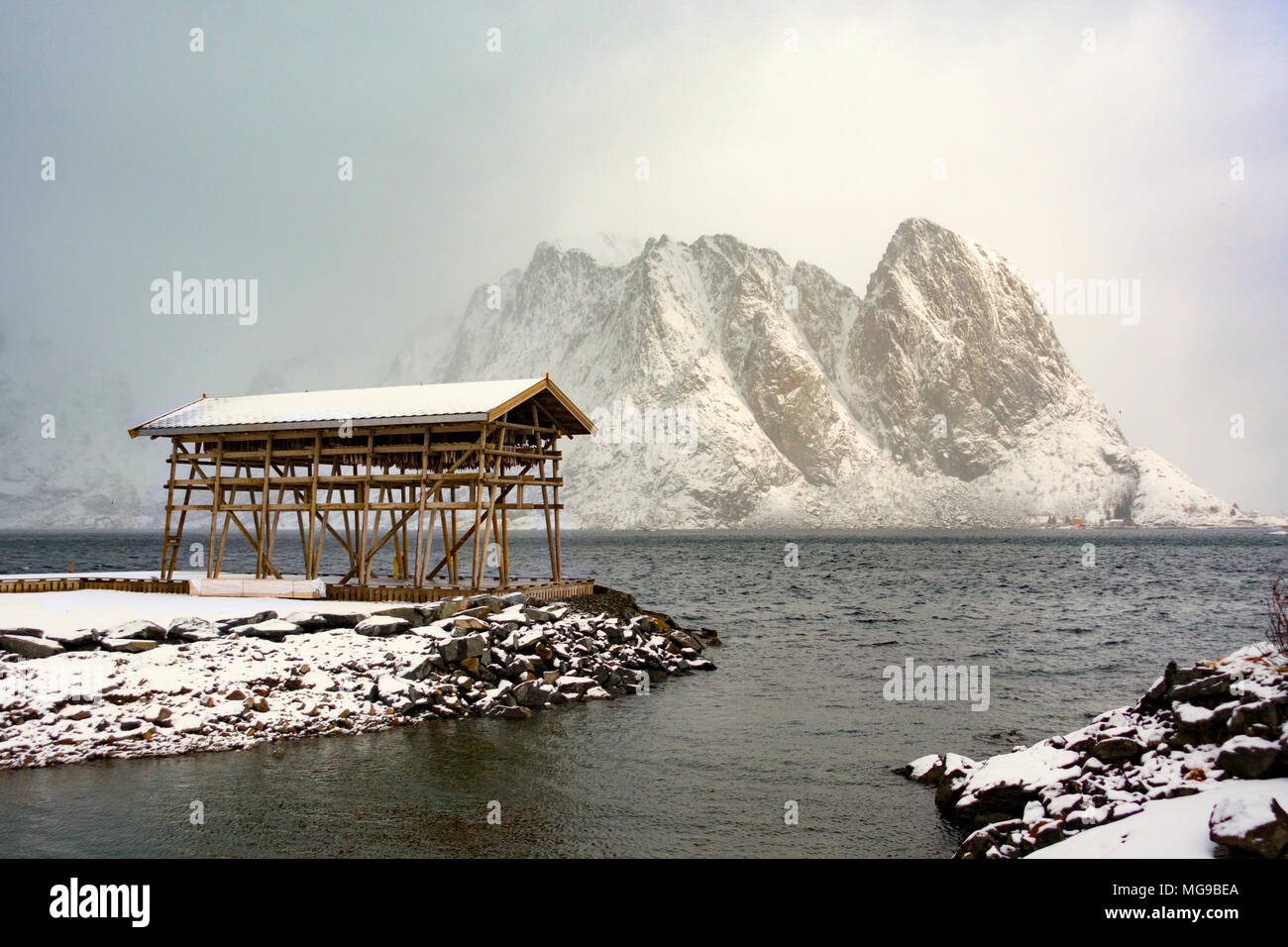Fish drying in hut on Lofoten Islands, Norway Stock Photo - Alamy
