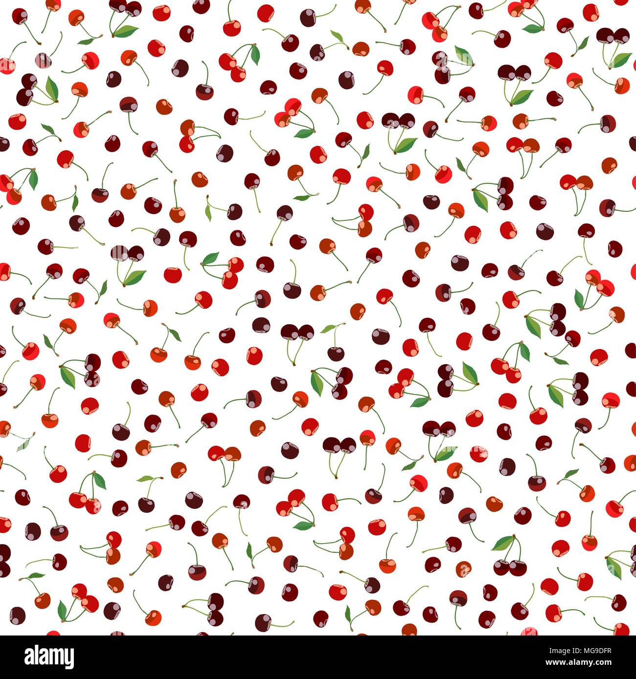 Ripe purple cherries. Seamless pattern. Cherry harvest. Colorful fruit ...