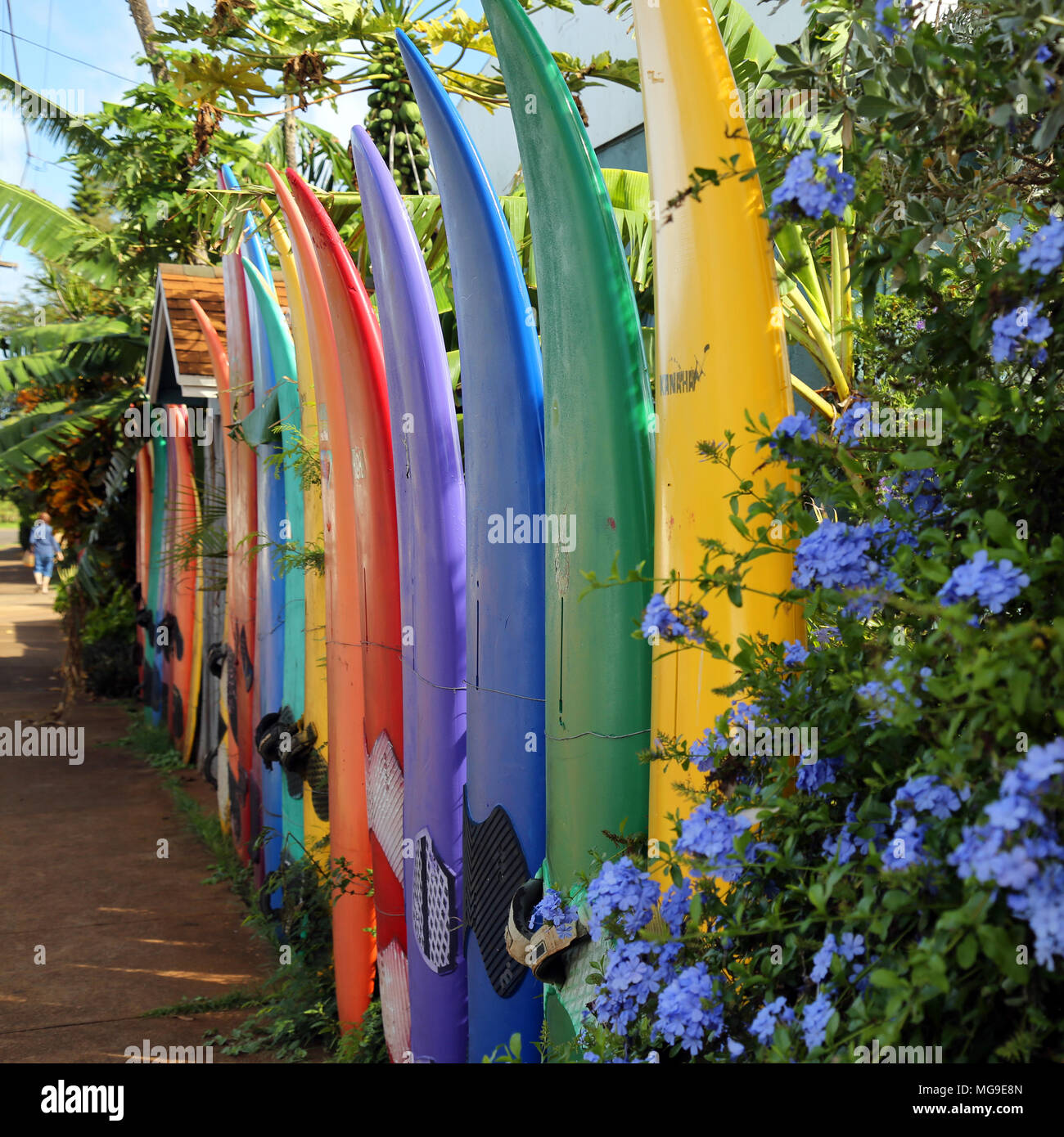 Surfboard Fence, Haiku, Maui Stock Photo - Alamy