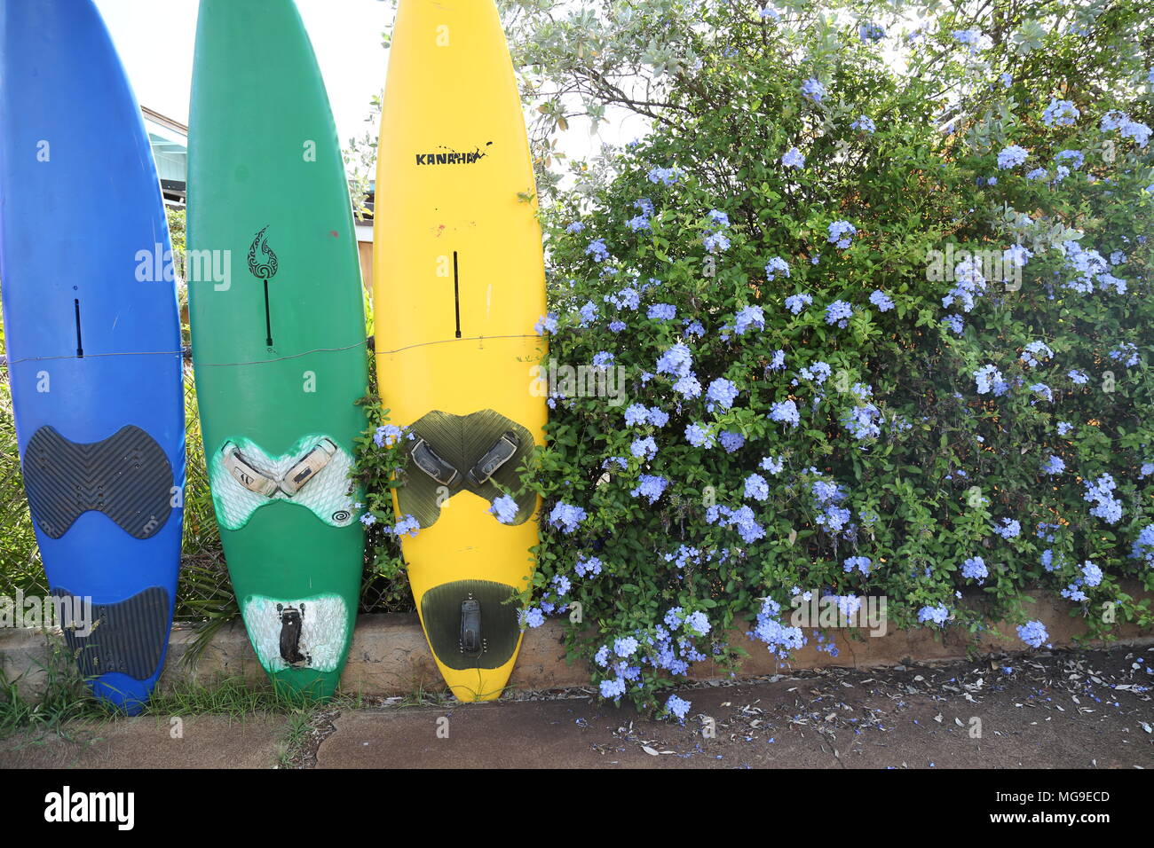 Surfboard Fence, Haiku, Maui Stock Photo - Alamy