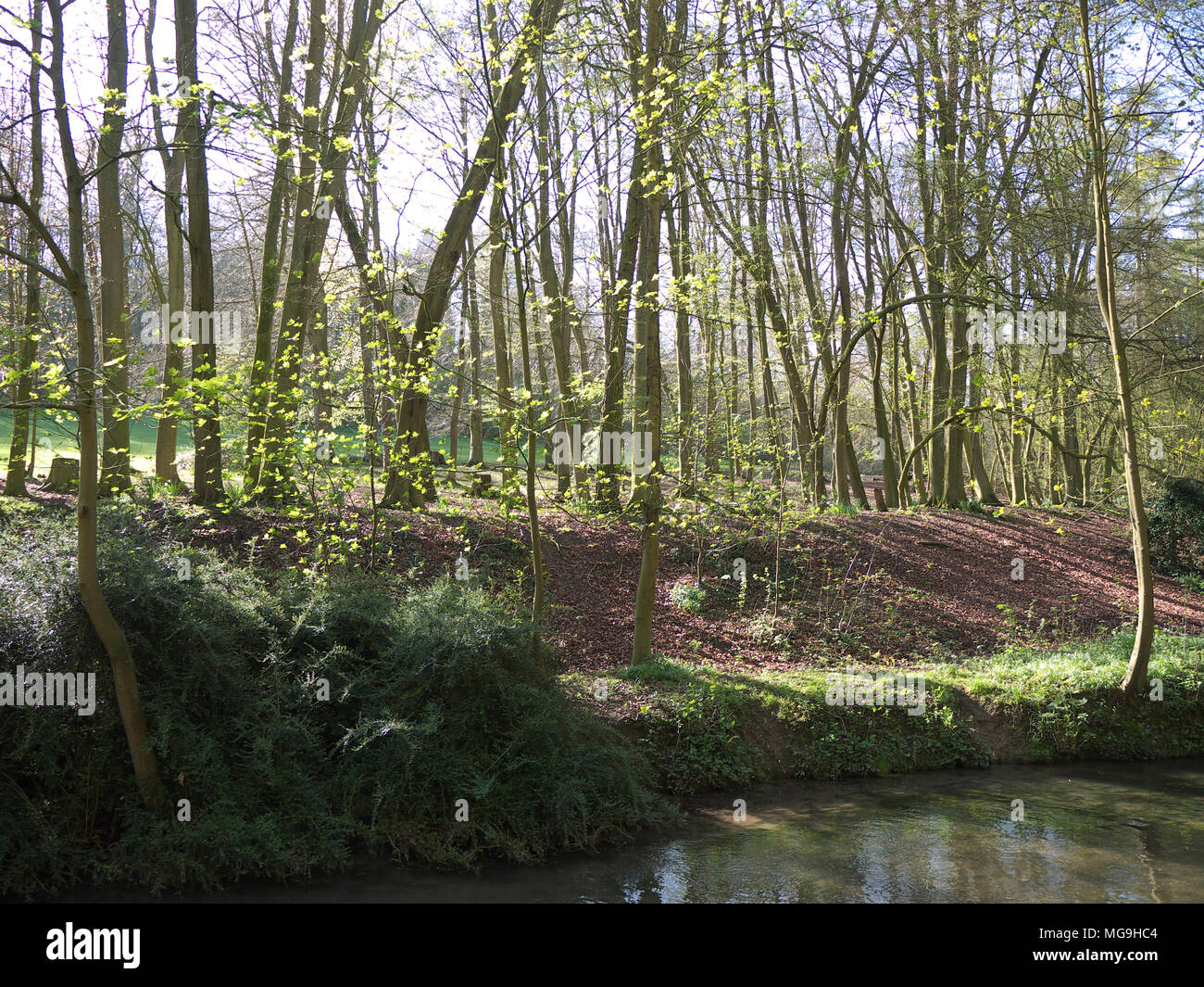 Spring time Hubbards Hills, Louth Lincolnshire Stock Photo - Alamy