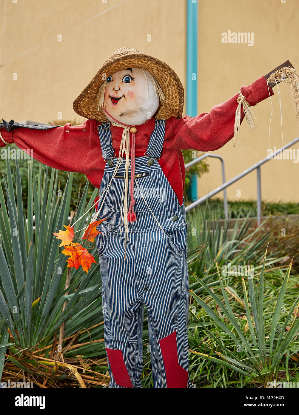 Great Smoky Mountain National Park. Tennessee USA. Halloween Season ...
