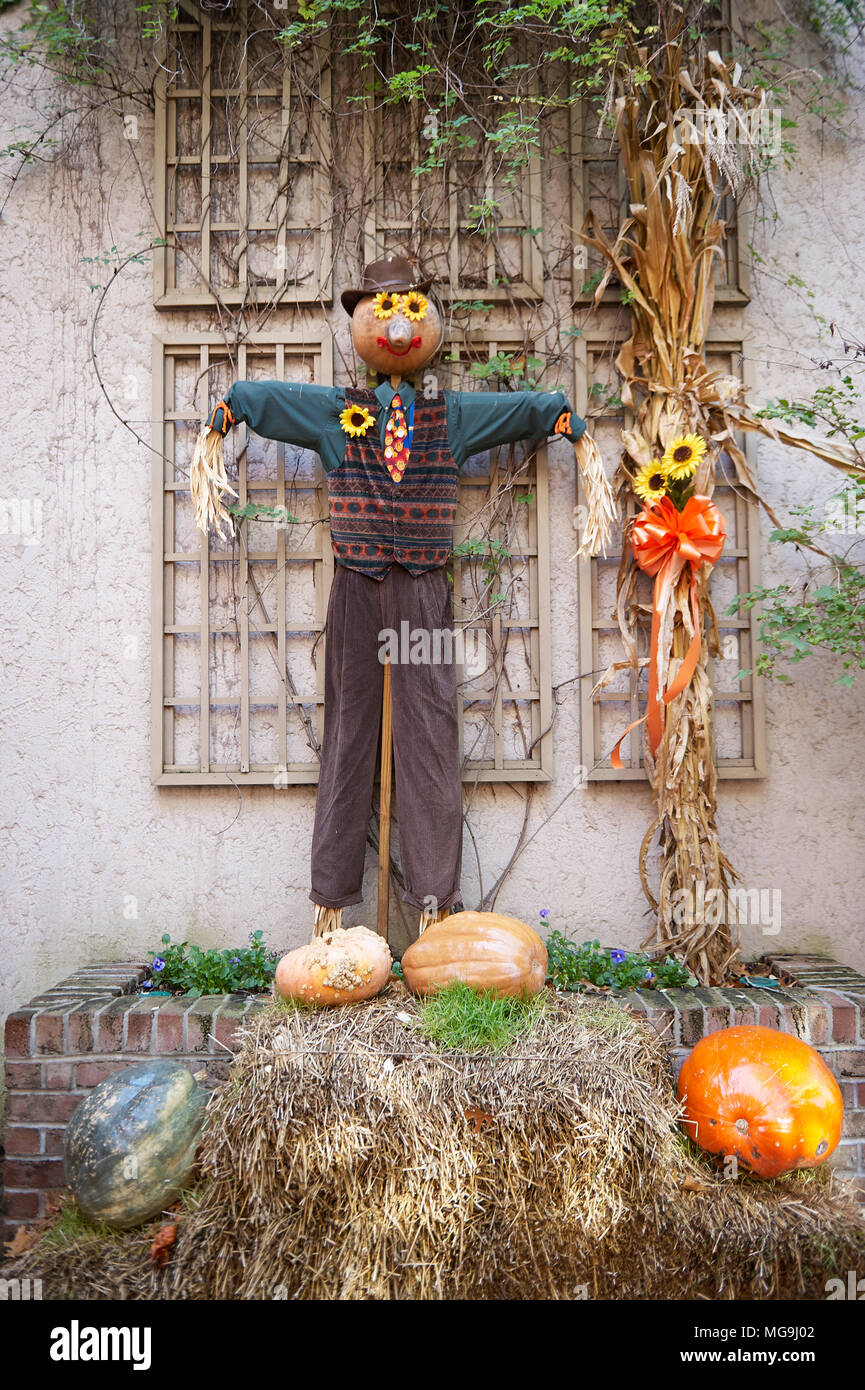 Great Smoky Mountain National Park. Tennessee USA. Halloween Season ...