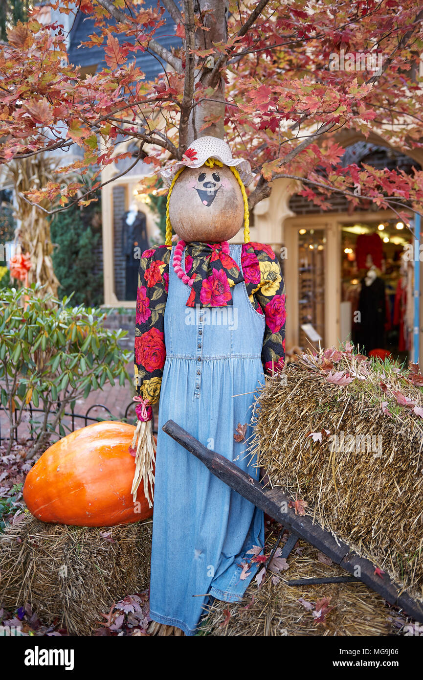 Great Smoky Mountain National Park. Tennessee USA. Halloween Season ...