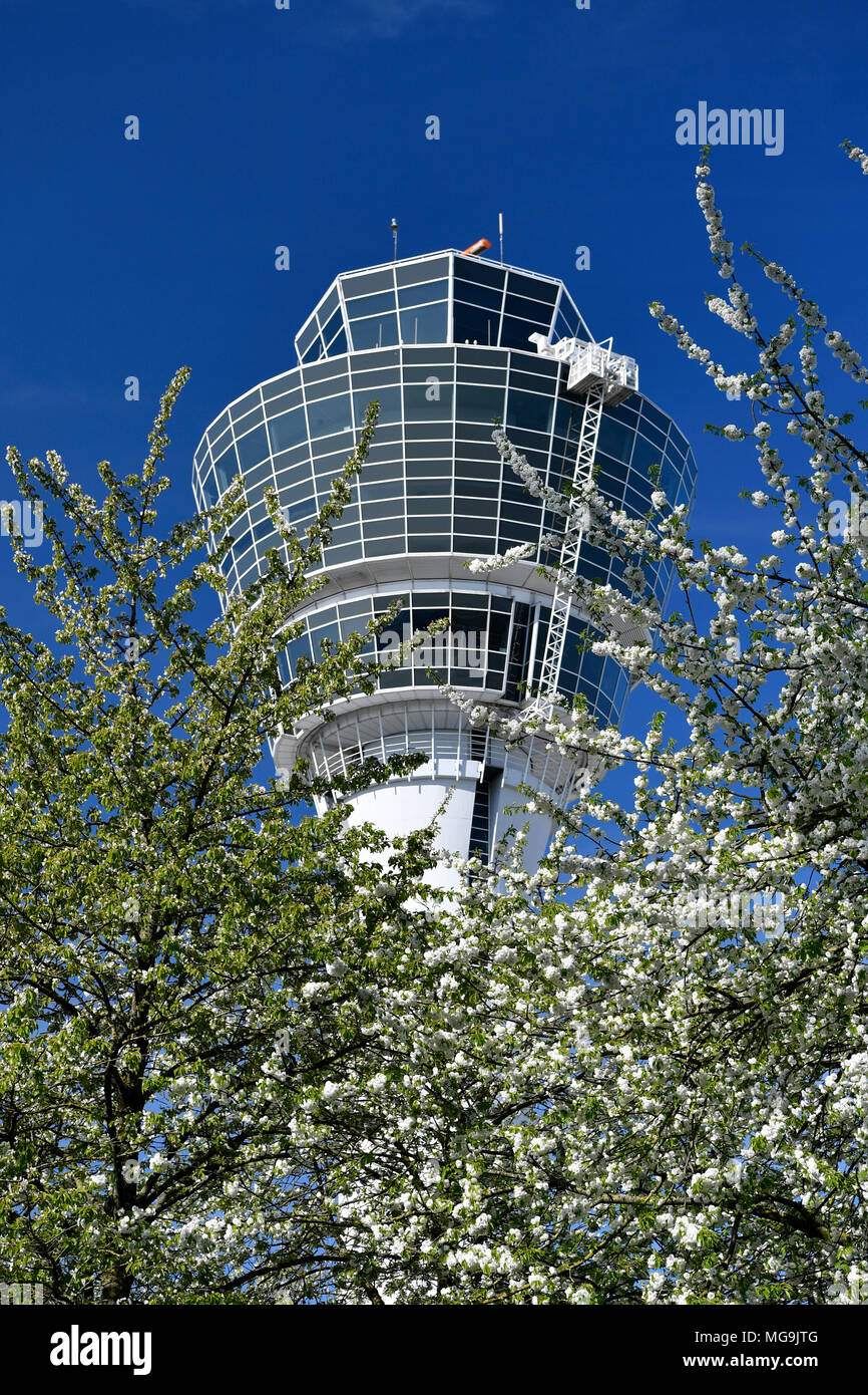 Tower, Trees, Cherry blossoms, blossom, flourish, spring, Airport ...