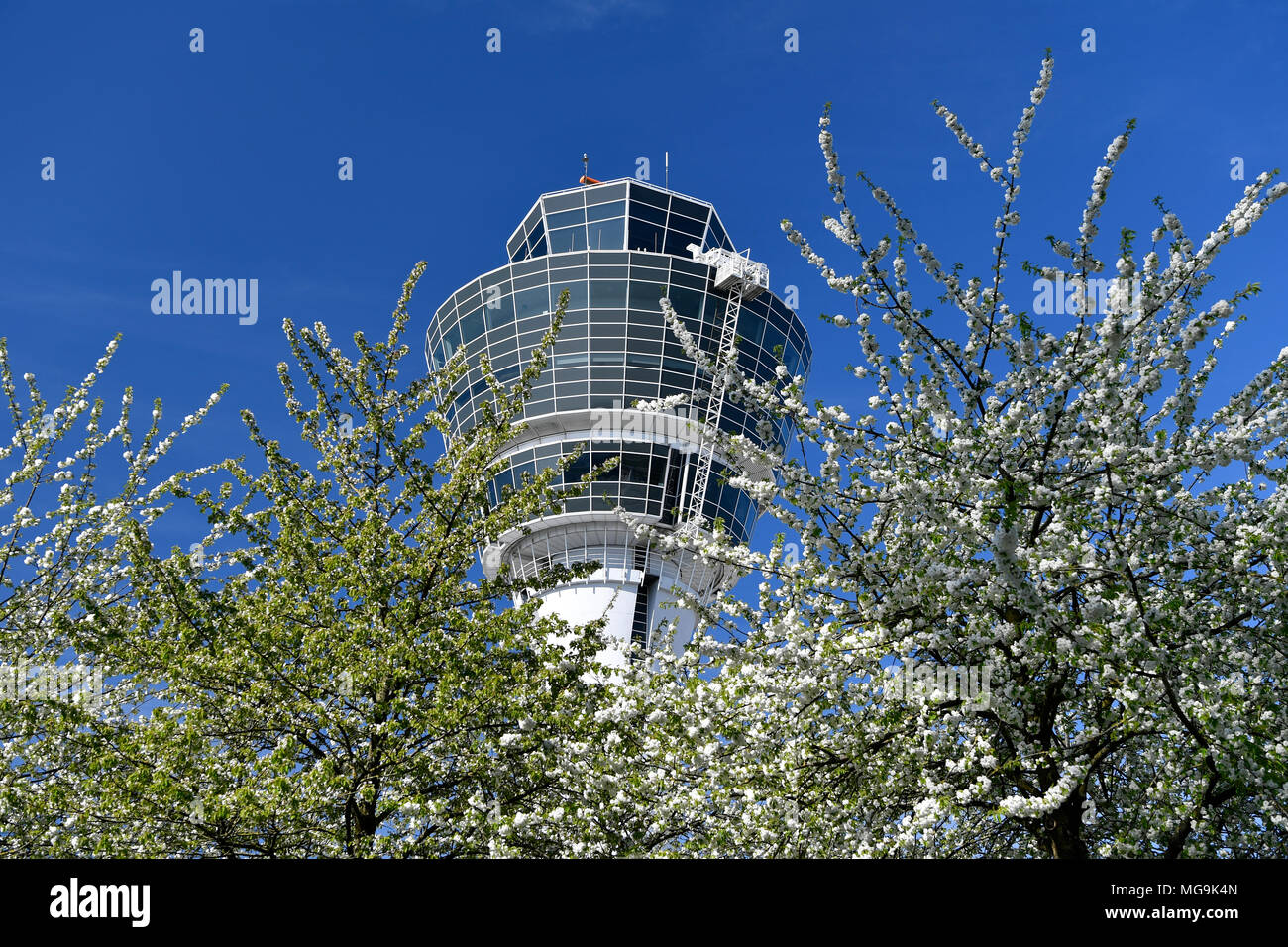 Tower, Trees, Cherry blossoms, blossom, flourish, spring, Airport ...