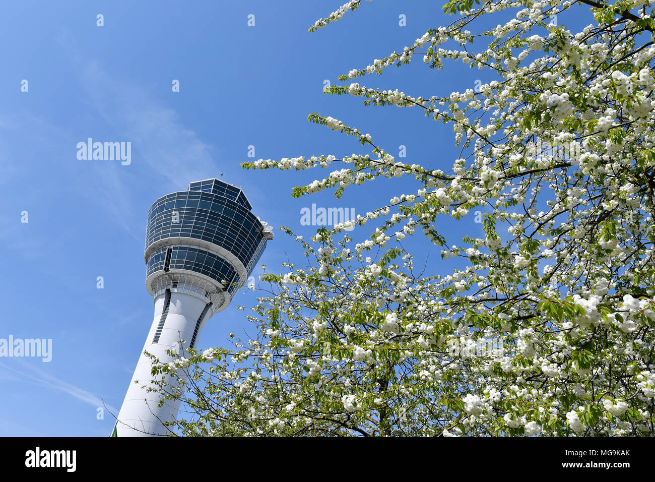Tower, Trees, Cherry blossoms, blossom, flourish, spring, Airport ...