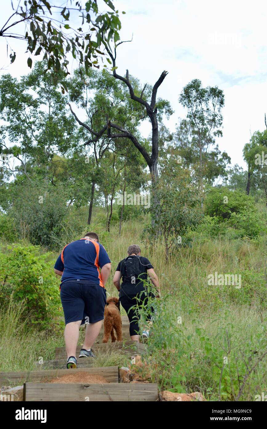 People and a dog walking in a forest, Mount Stuart hiking trails ...