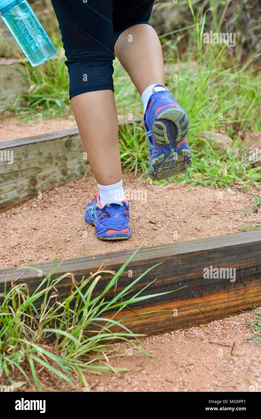 Mount Stuart hiking trails, Townsville, Queensland, Australia Stock ...