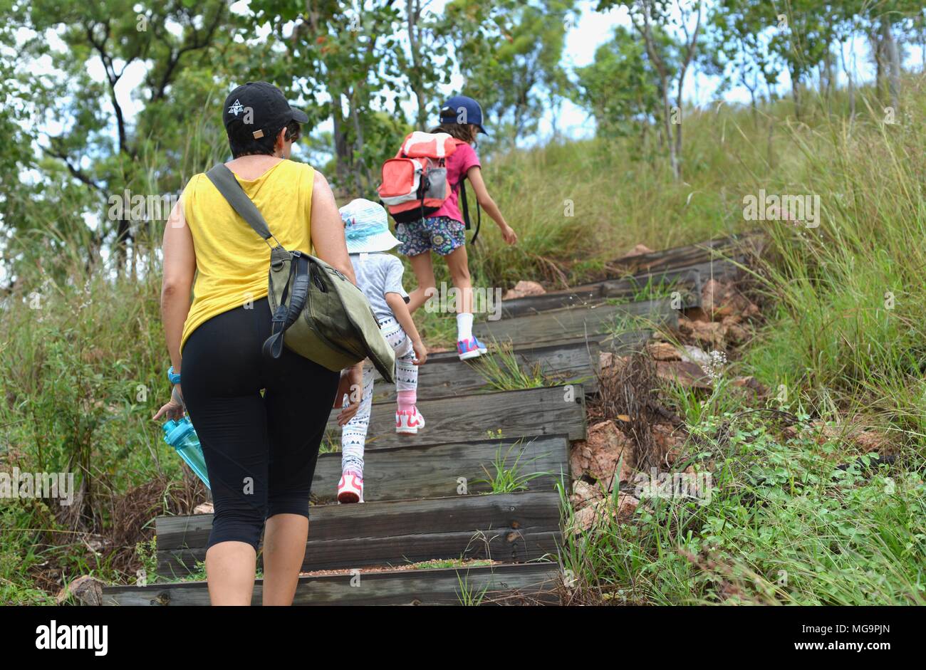 Mother and children walking on a path through open woodland, Mount ...