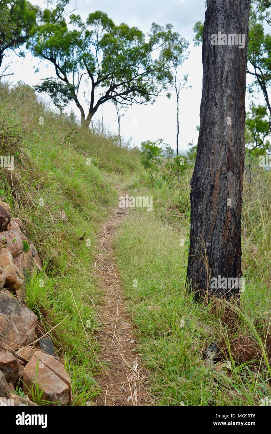 Mount Stuart hiking trails, Townsville, Queensland, Australia Stock ...
