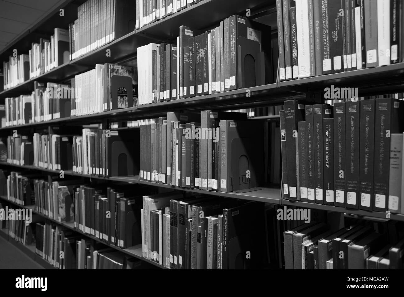 School Library Black And White