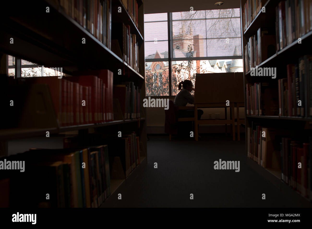 Inside the art library at Smith College Stock Photo - Alamy