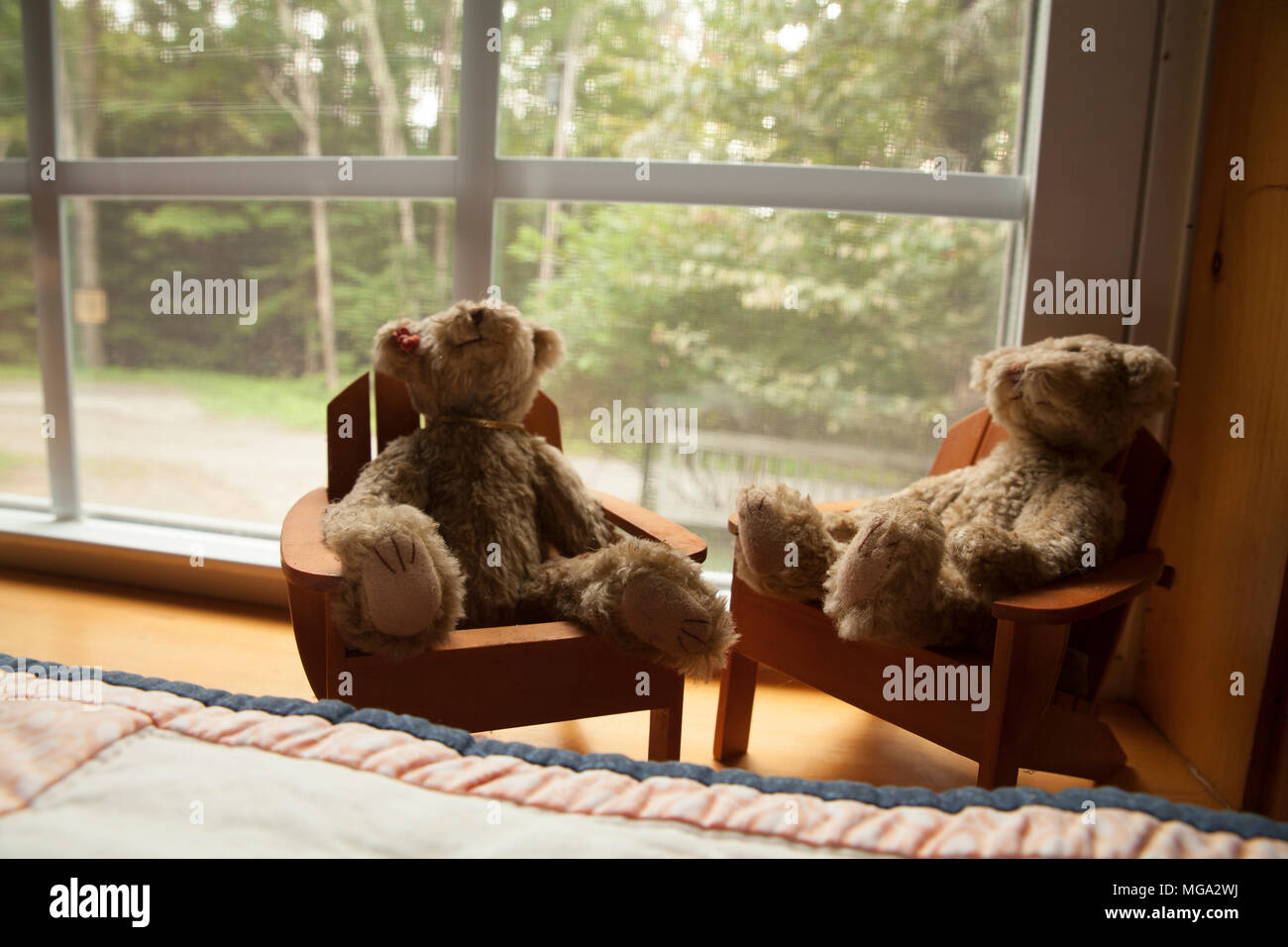 Teddy bears relaxing on window ledge Stock Photo - Alamy
