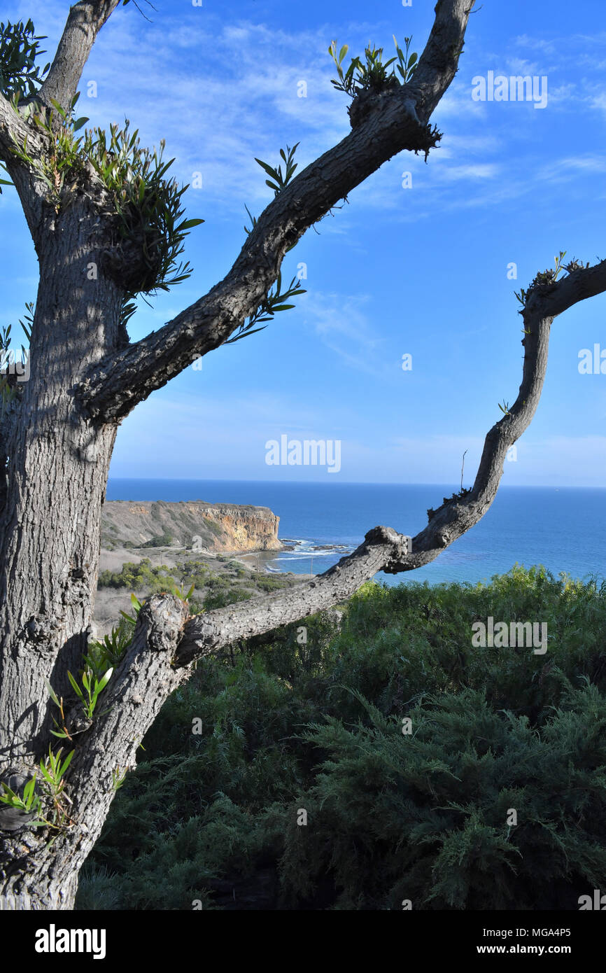 Calming coastal scene vast hi-res stock photography and images - Alamy