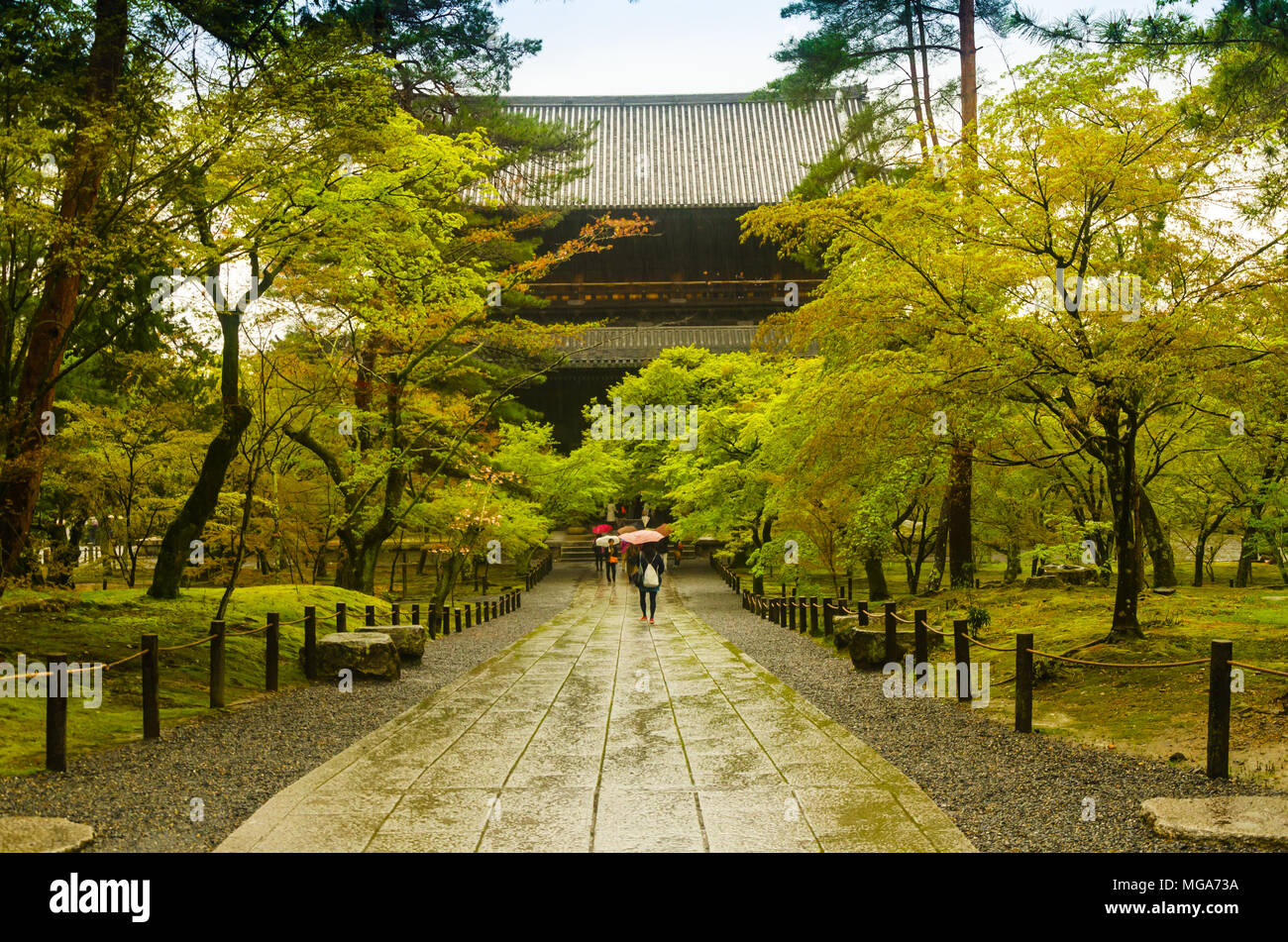 Japanese temple and palace in the middle of a green and lush forest ...