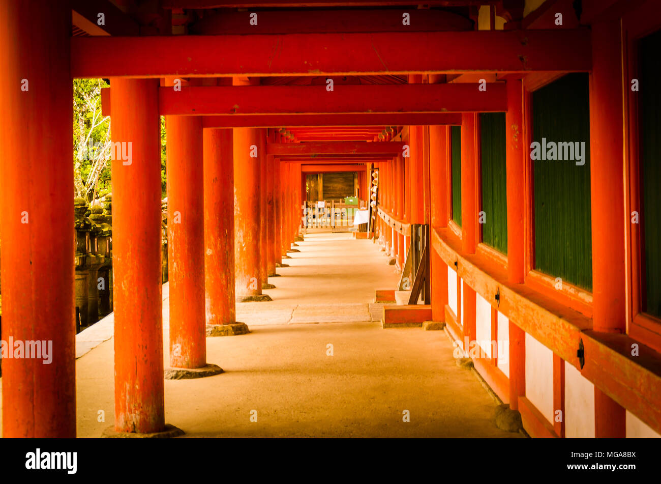 Path with no end hi-res stock photography and images - Alamy
