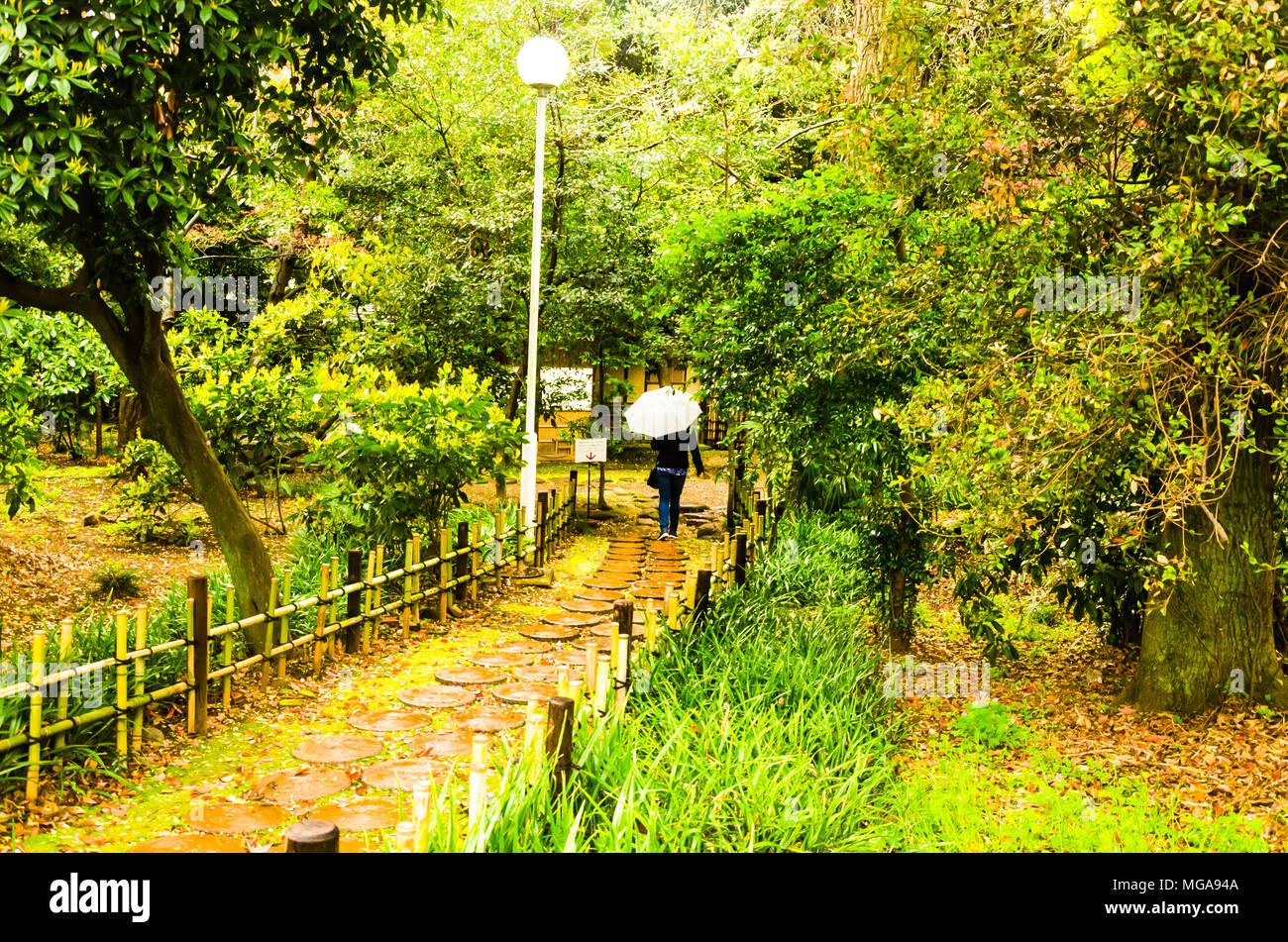 Lush green forest temple hi-res stock photography and images - Alamy