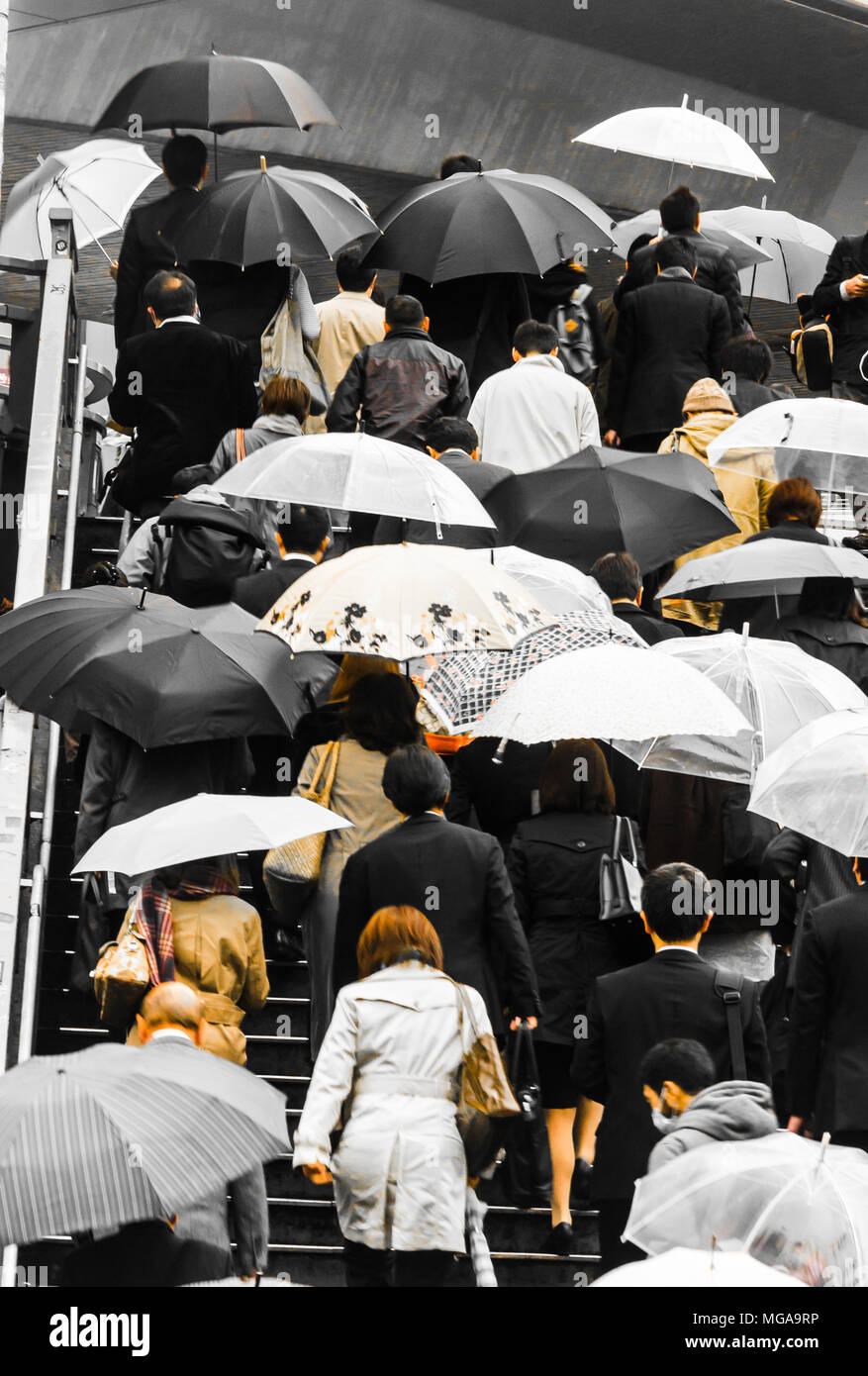 Morning office rush hour with rain and umbrella in Tokyo Stock Photo ...