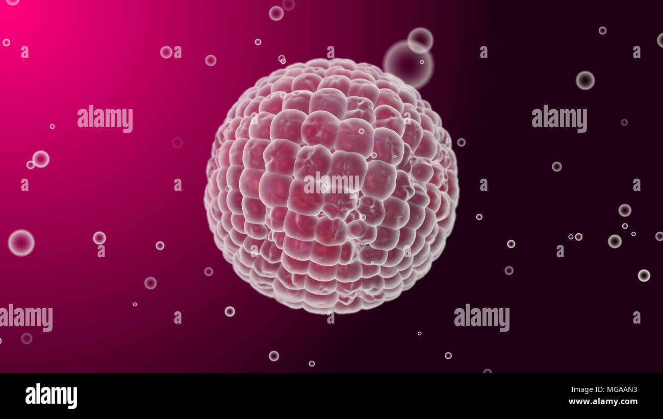 Round bacteria virus on a dark pink background with small floating ...