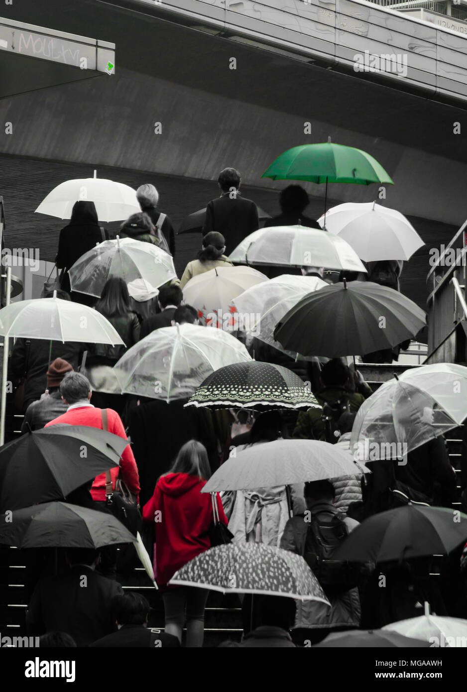 Morning office rush hour with rain and umbrella in Tokyo Stock Photo ...
