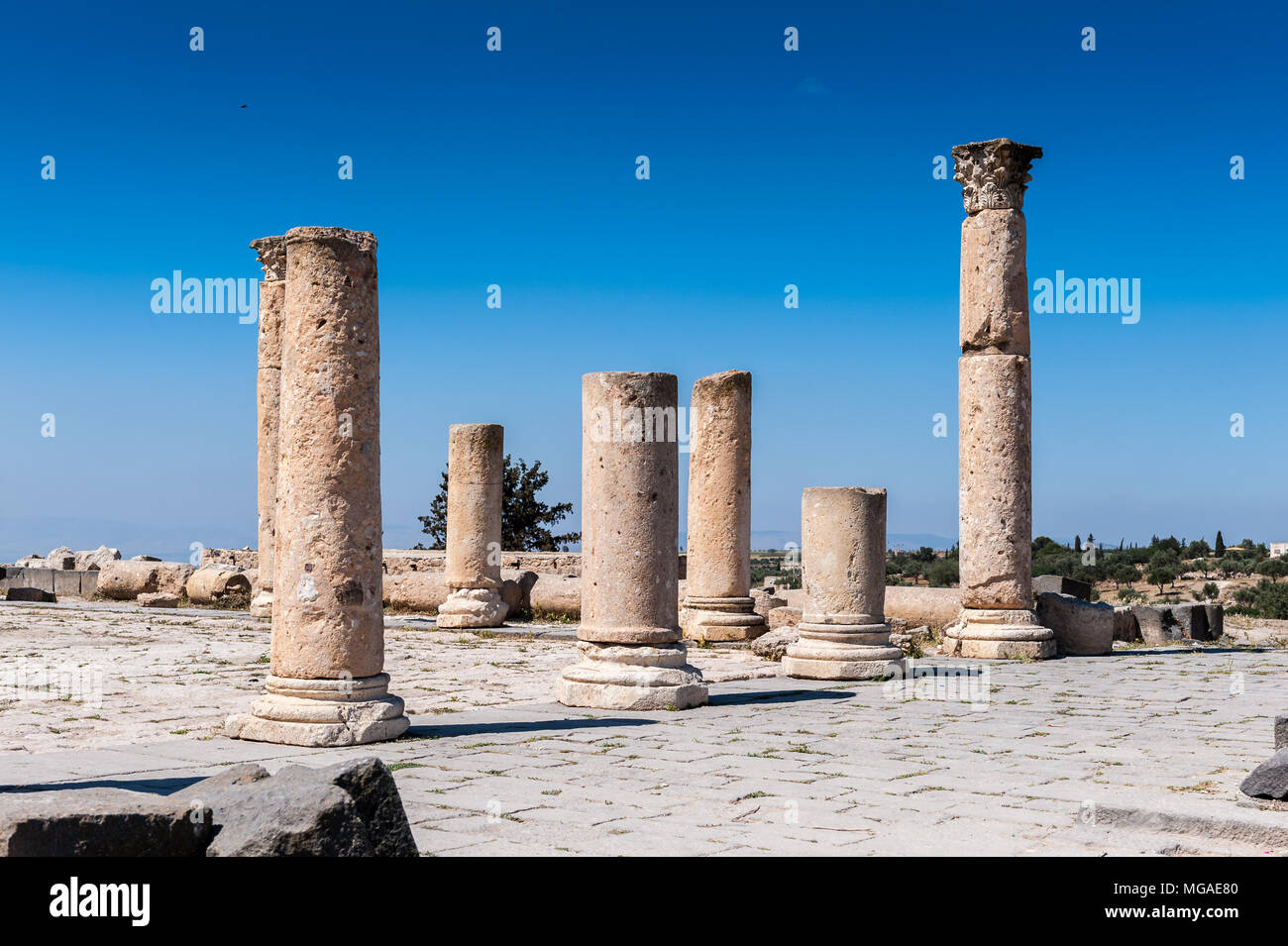 Roman colums of the ancient city of Gadara, modern Jordan Stock Photo ...