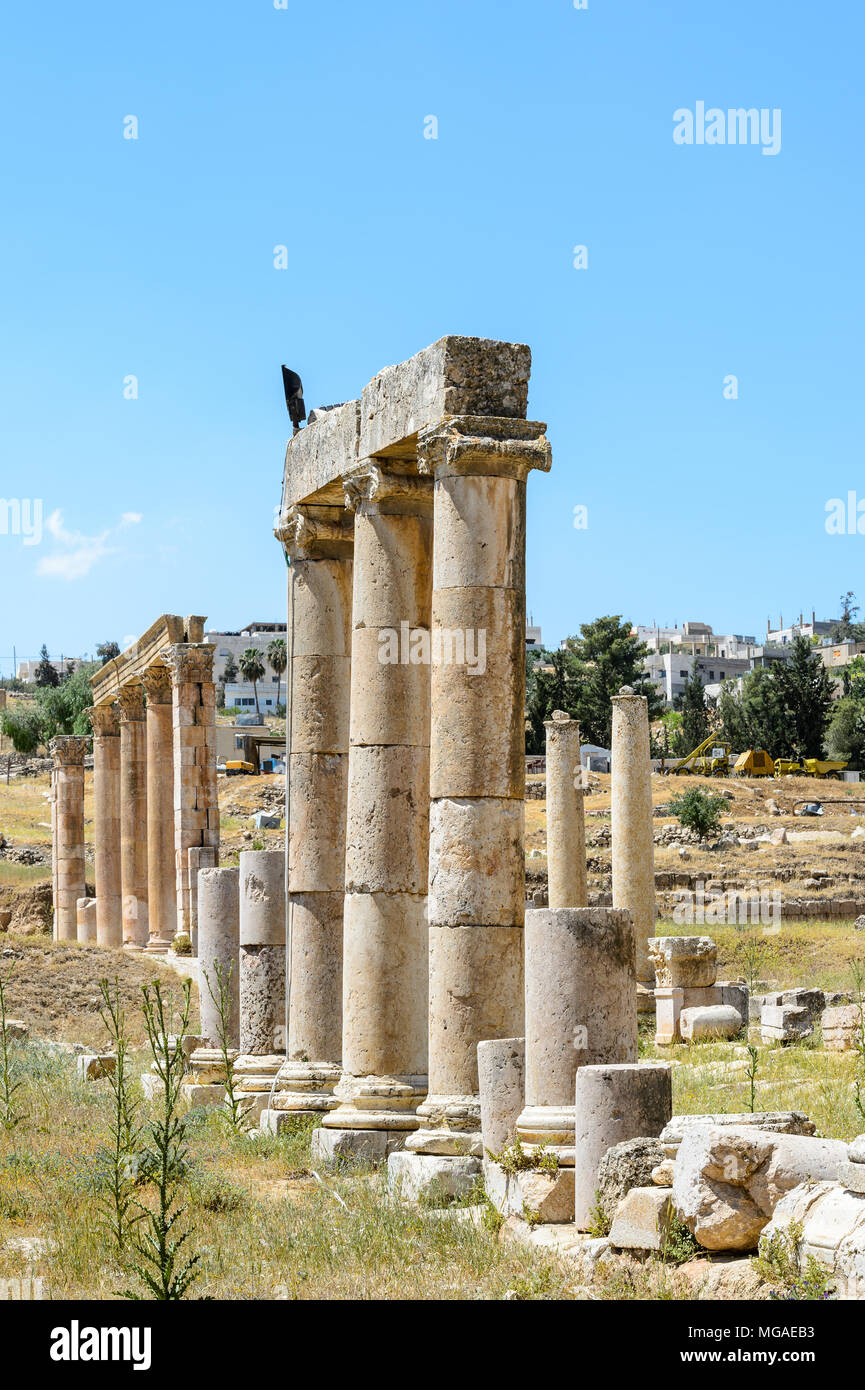 Roman columns of the ancient city of Gerasa, Jerash, Jordan Stock Photo ...