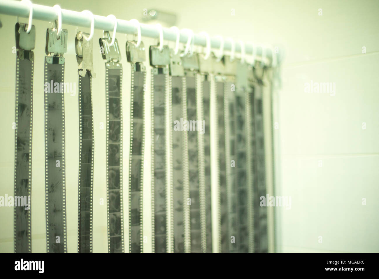 35mm analog black and white photography film negatives drying after ...