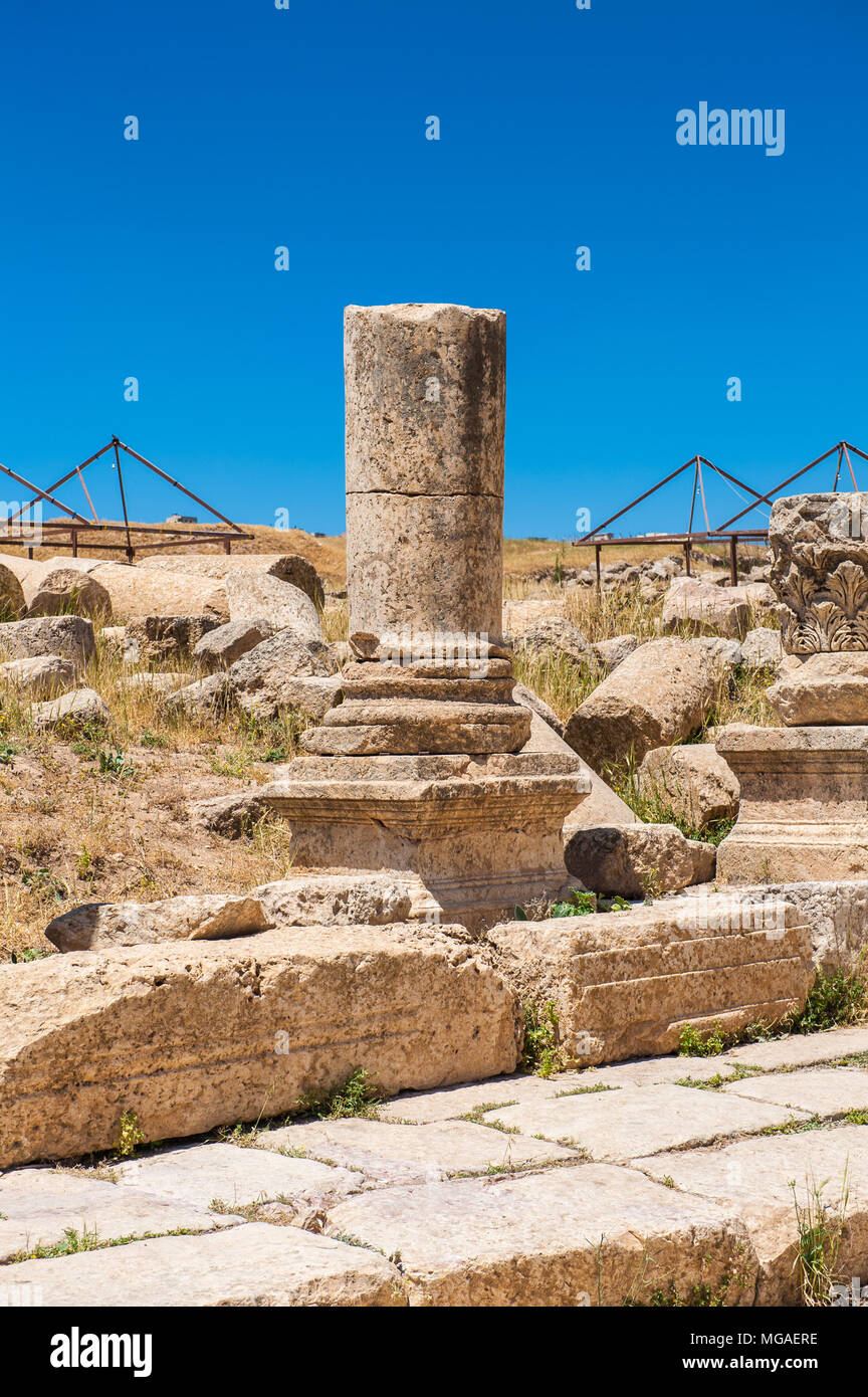 Column of the cardo maximus, Ancient Roman city of Gerasa, modern ...