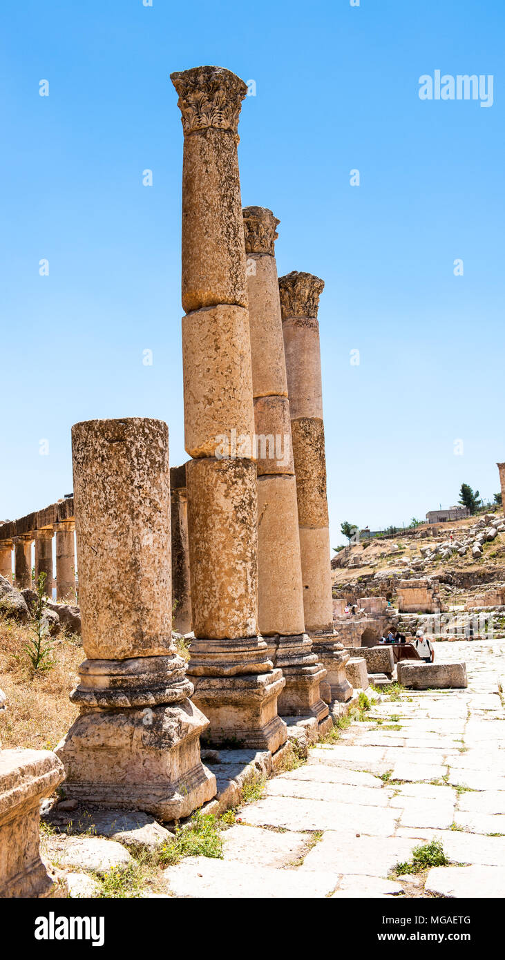 Columns of the cardo maximus, Ancient Roman city of Gerasa, modern ...