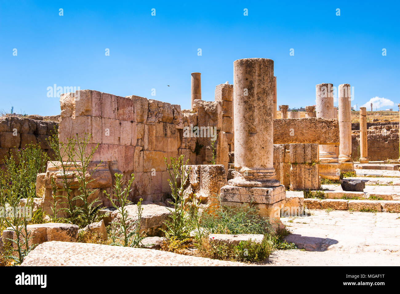 Columns of the cardo maximus, Ancient Roman city of Gerasa, modern ...