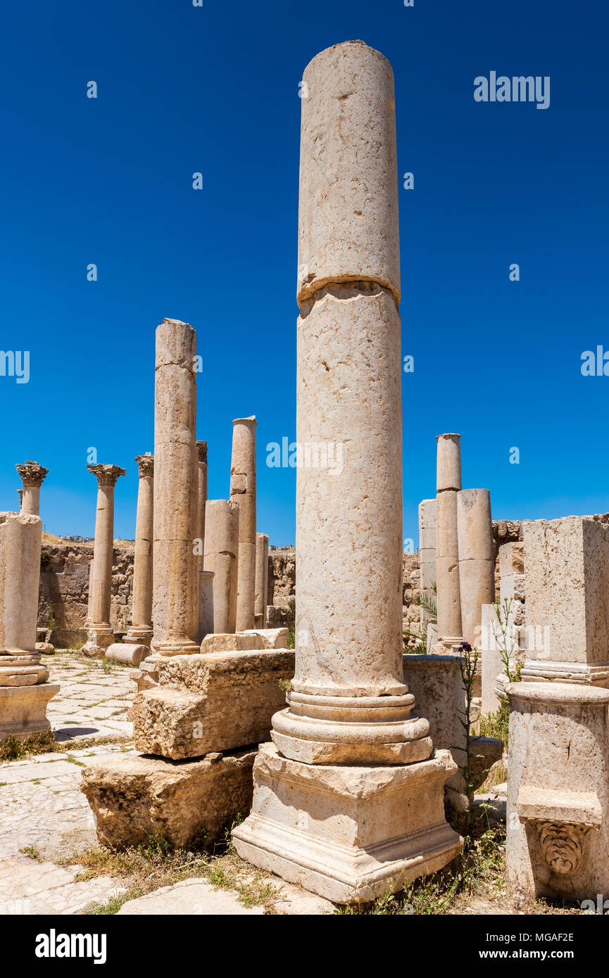 Columns of the cardo maximus, Ancient Roman city of Gerasa, modern ...