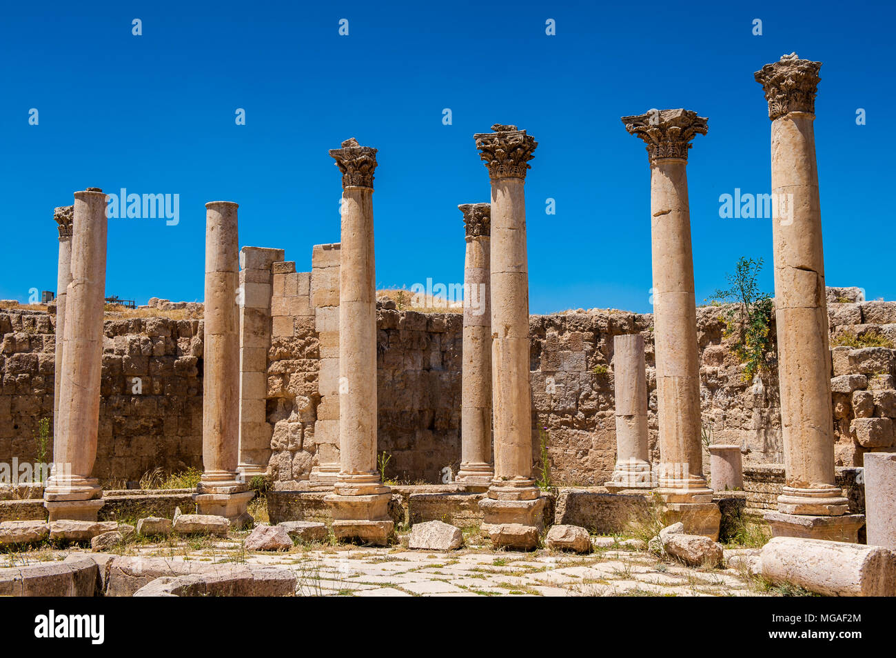 Columns of the cardo maximus, Ancient Roman city of Gerasa, modern ...