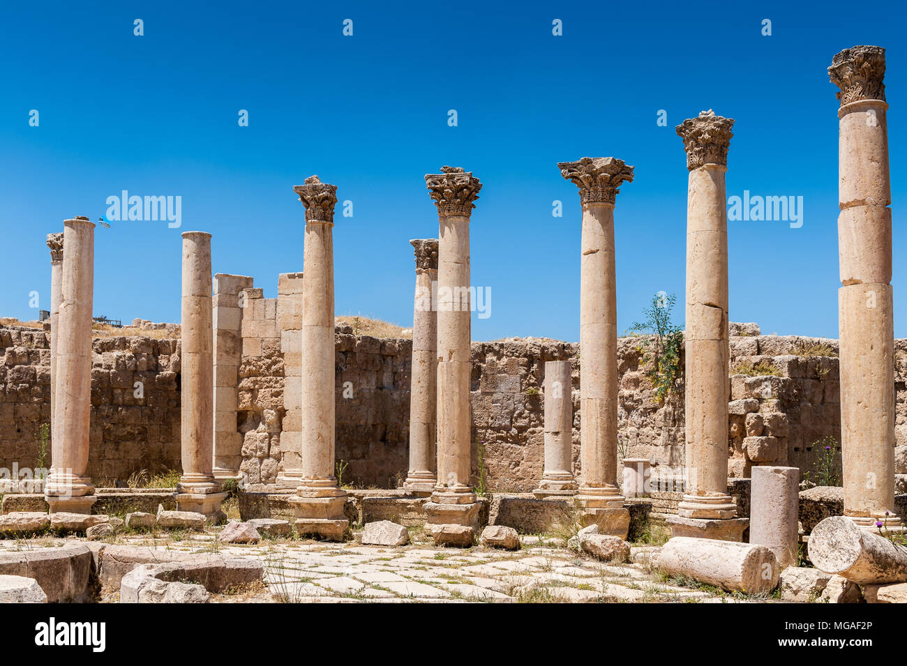 Columns of the cardo maximus, Ancient Roman city of Gerasa, modern ...