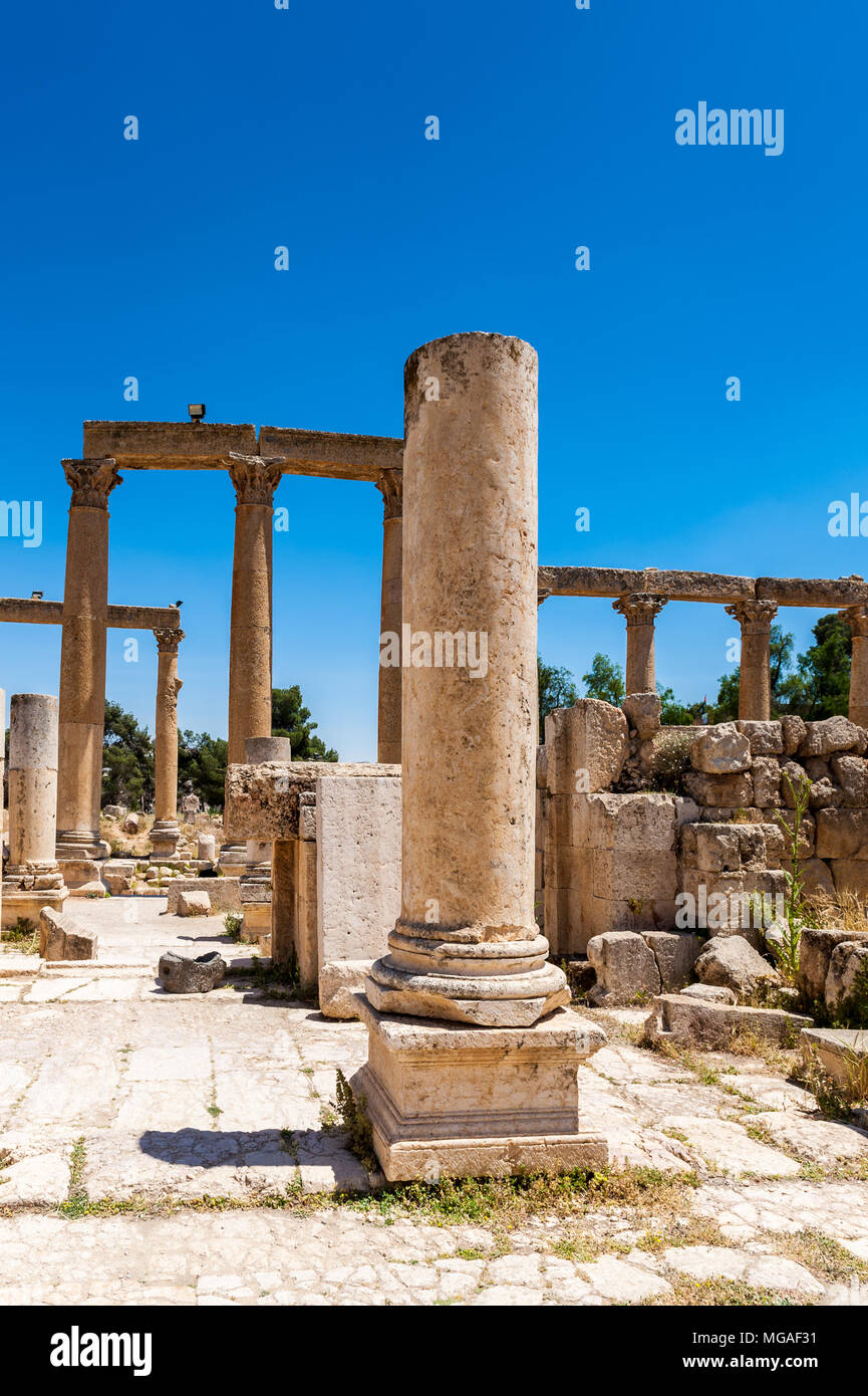 Columns of the cardo maximus, Ancient Roman city of Gerasa, modern ...