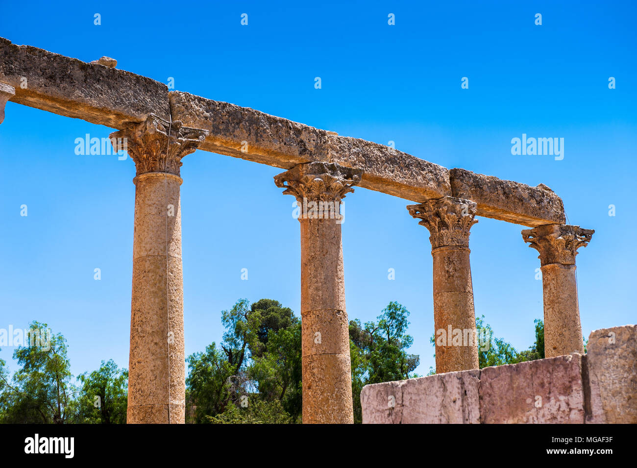 Columns of the cardo maximus, Ancient Roman city of Gerasa, modern ...