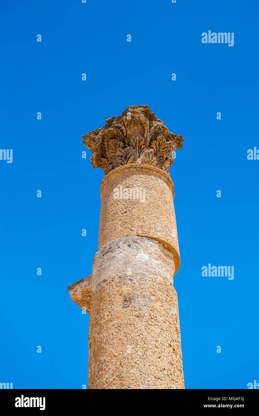 Columns of the cardo maximus, Ancient Roman city of Gerasa, modern ...