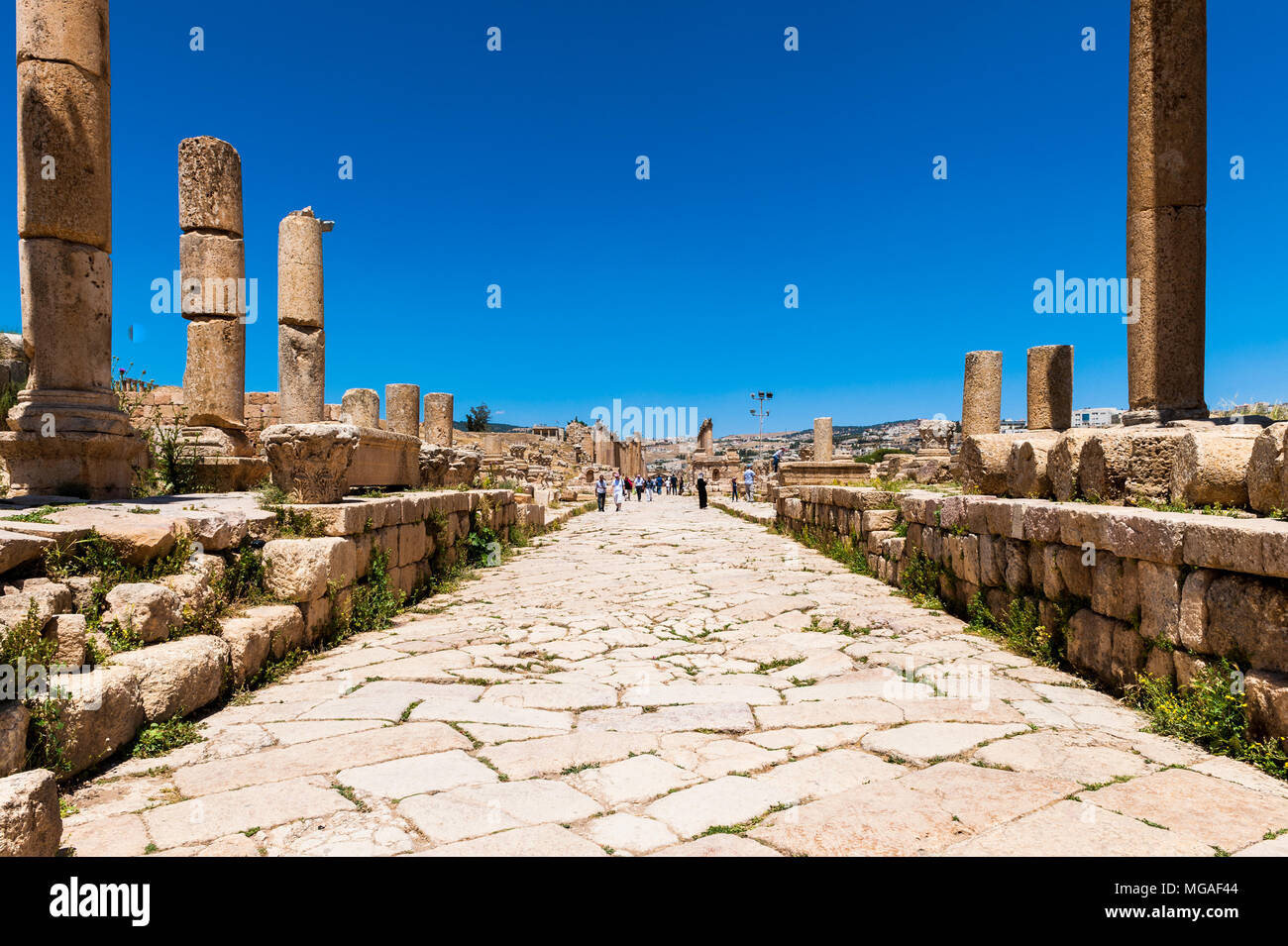 Cardo maximus, Ancient Roman city of Gerasa, modern Jerash, Jordan ...