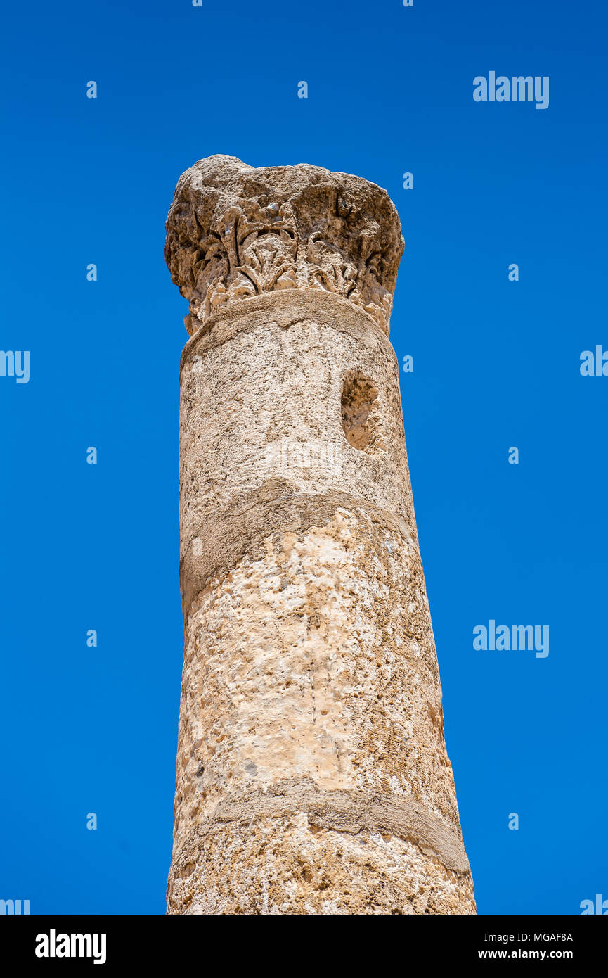 Columns of the cardo maximus, Ancient Roman city of Gerasa, modern ...