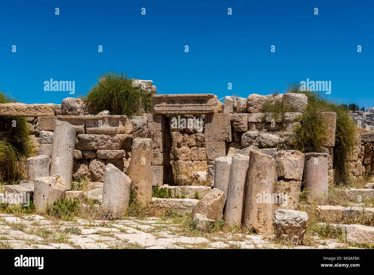Columns of the cardo maximus, Ancient Roman city of Gerasa, modern ...