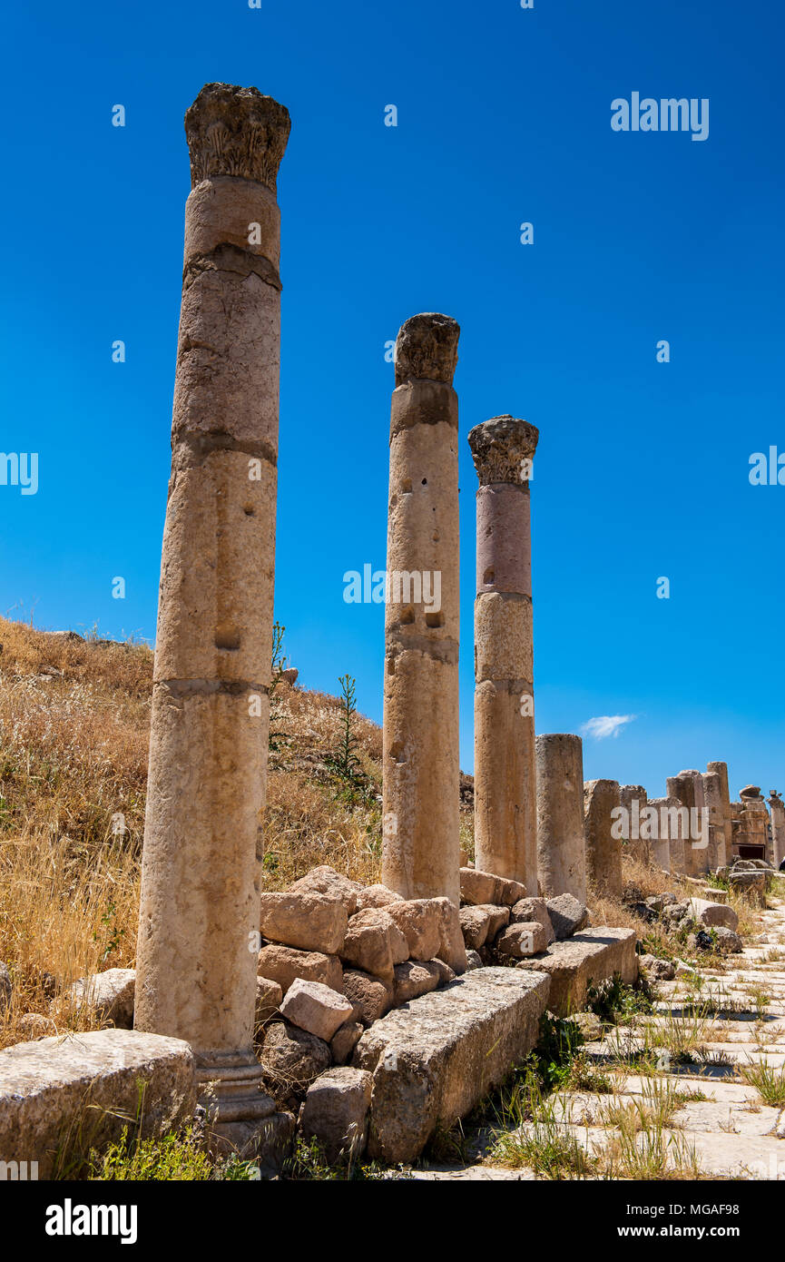 Columns of the cardo maximus, Ancient Roman city of Gerasa, modern ...
