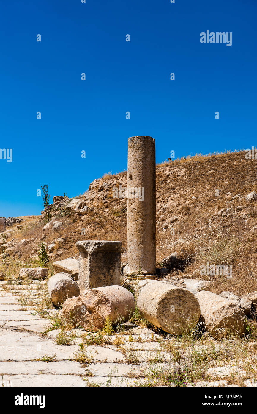 Columns of the cardo maximus, Ancient Roman city of Gerasa, modern ...