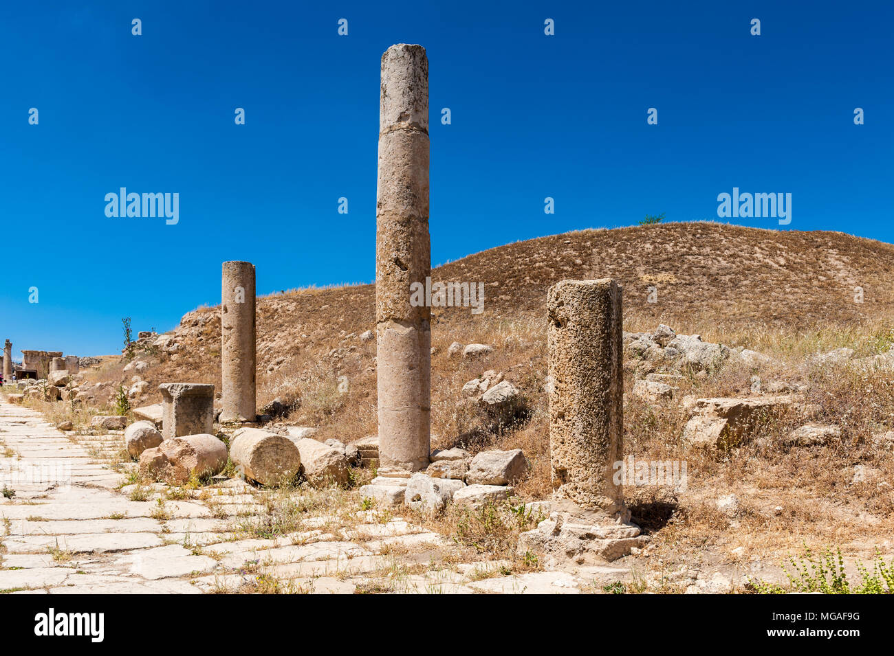 Columns of the cardo maximus, Ancient Roman city of Gerasa, modern ...