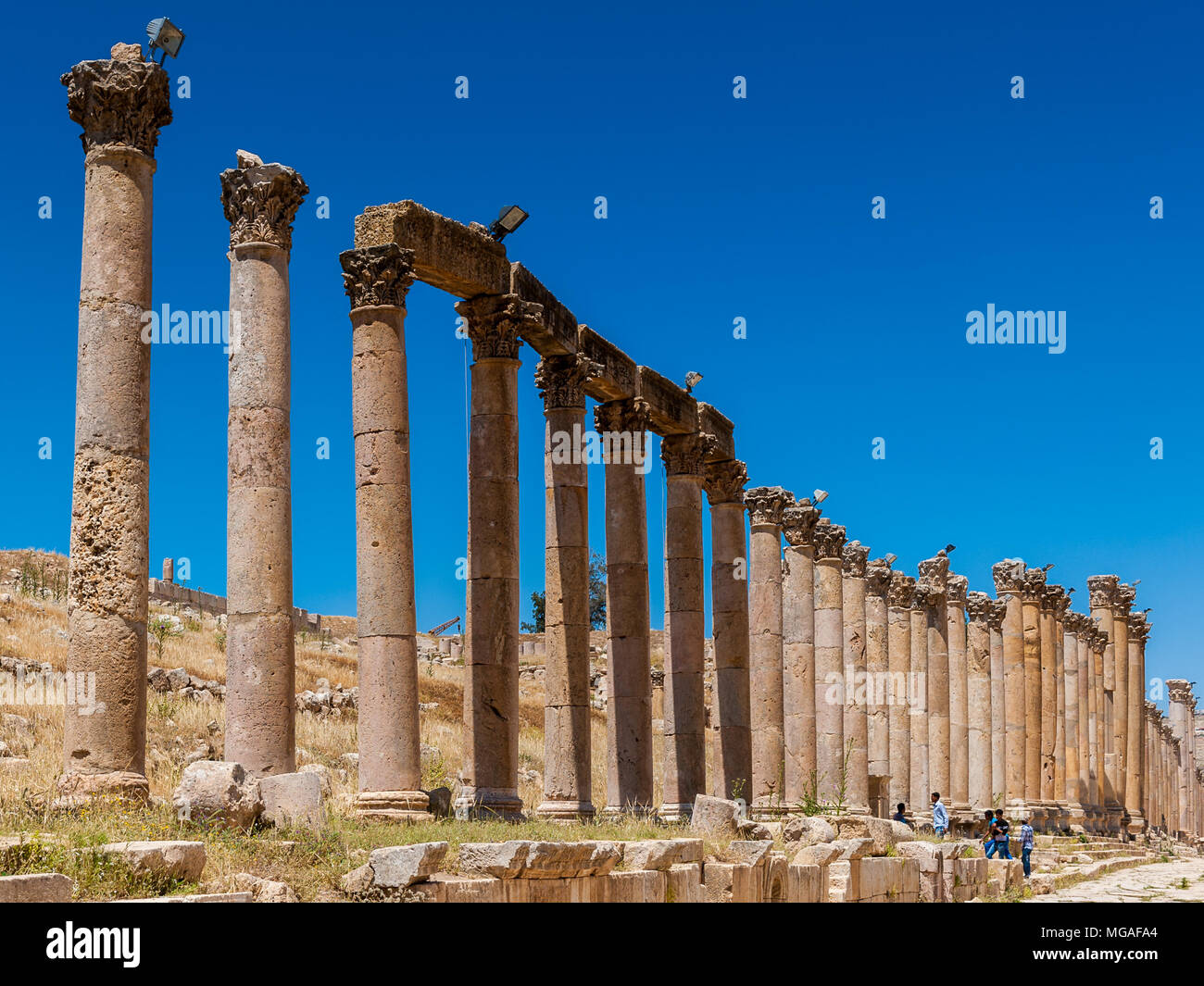 Columns of the cardo maximus, Ancient Roman city of Gerasa of Antiquity ...