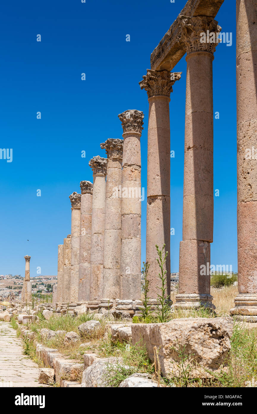 Columns of the cardo maximus, Ancient Roman city of Gerasa of Antiquity ...