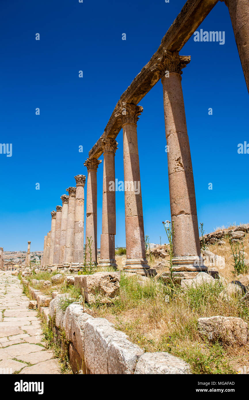 Columns of the cardo maximus, Ancient Roman city of Gerasa of Antiquity ...