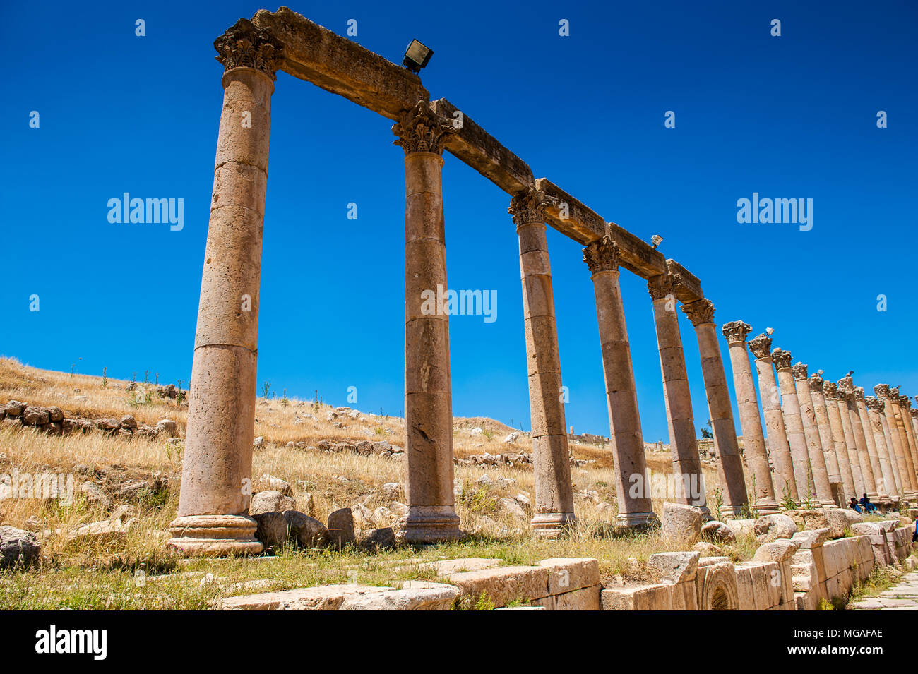 Columns of the cardo maximus, Ancient Roman city of Gerasa of Antiquity ...