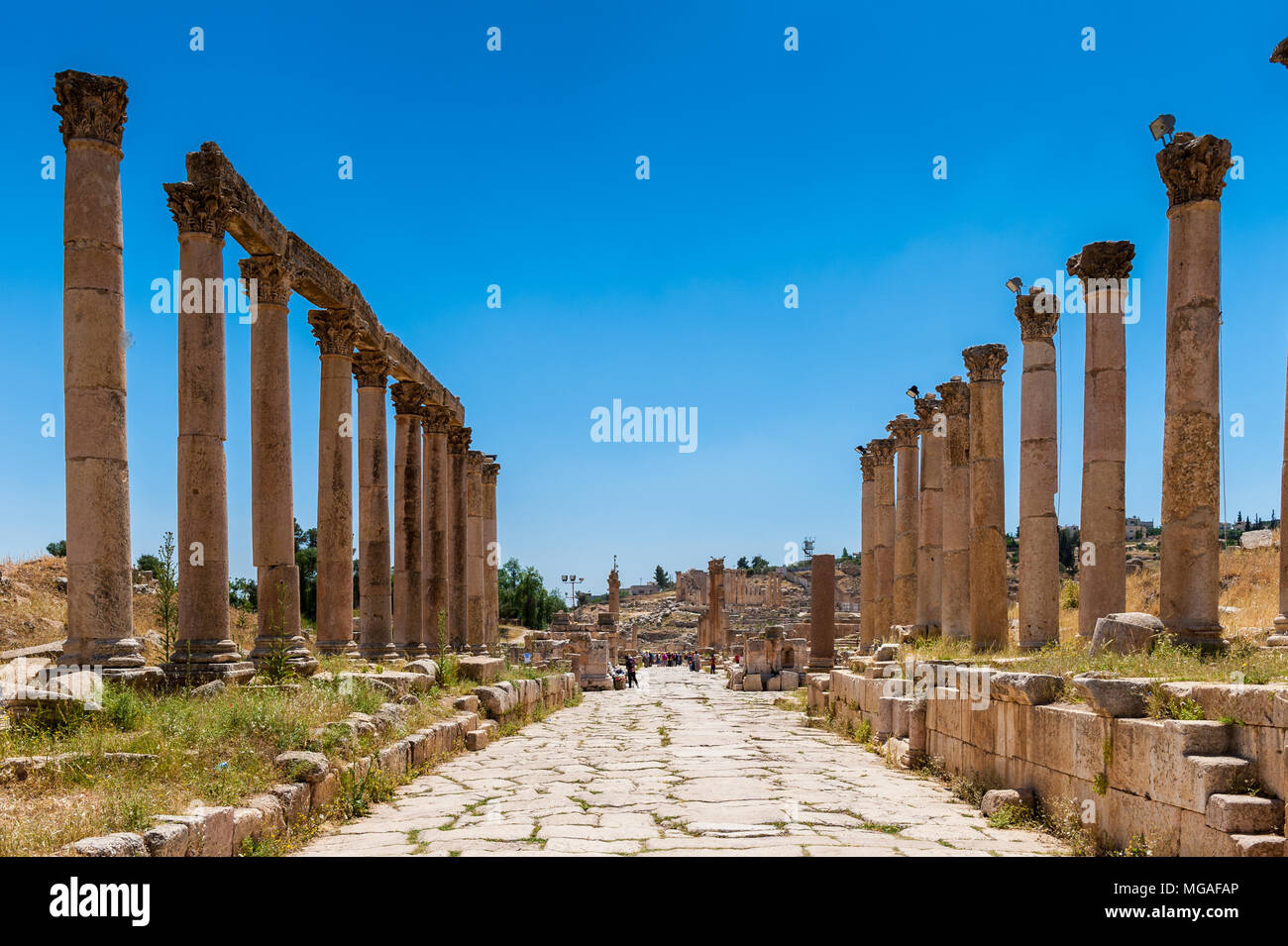 Columns of the cardo maximus, Ancient Roman city of Gerasa of Antiquity ...