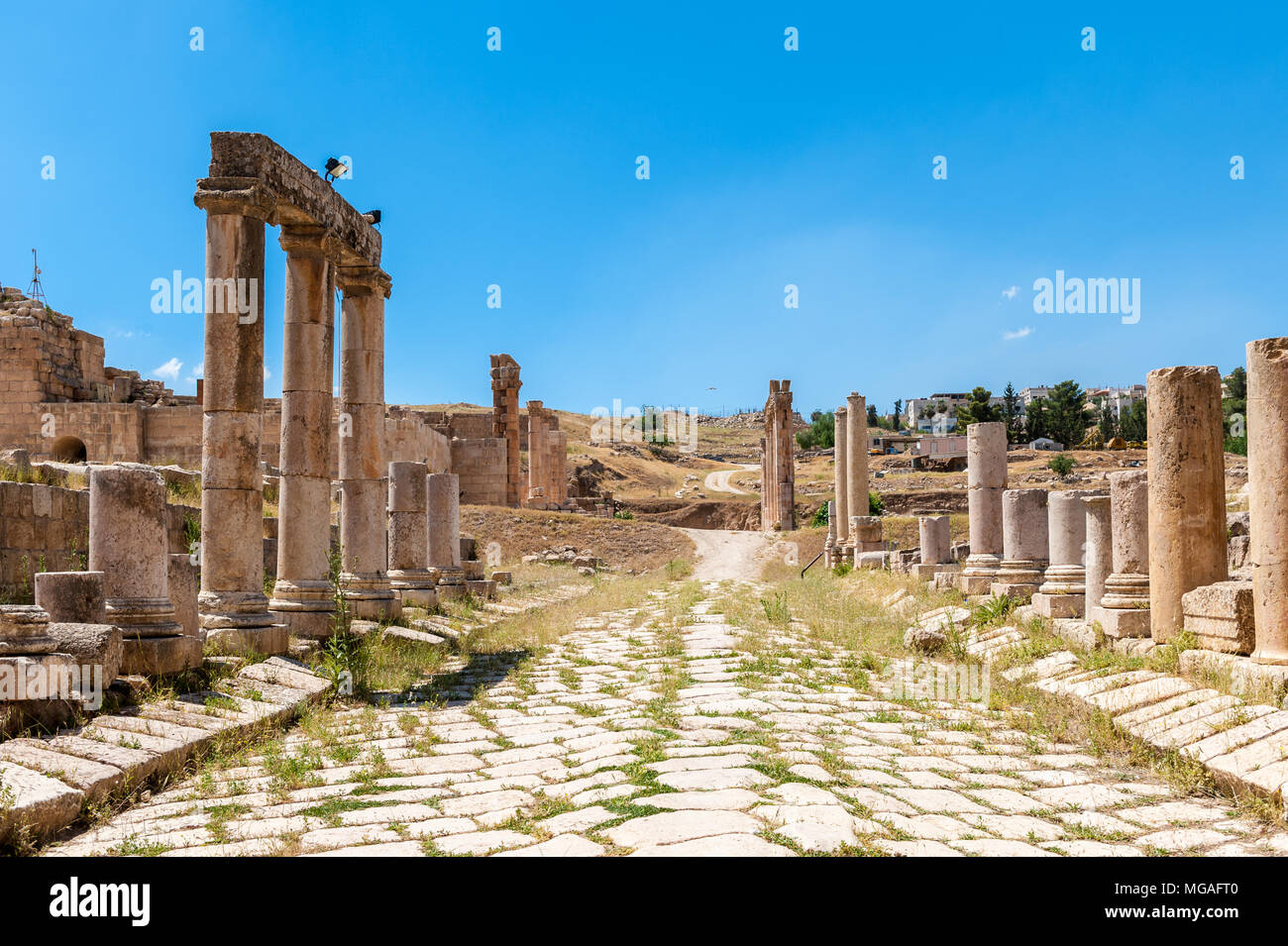 Columns of the cardo maximus, Ancient Roman city of Gerasa of Antiquity ...